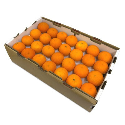 CNY Mandarin Oranges – Fruitwerkz
