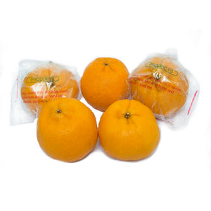 CNY Mandarin Oranges – Fruitwerkz