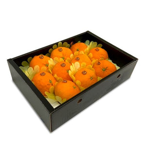 CNY Mandarin Oranges – Fruitwerkz